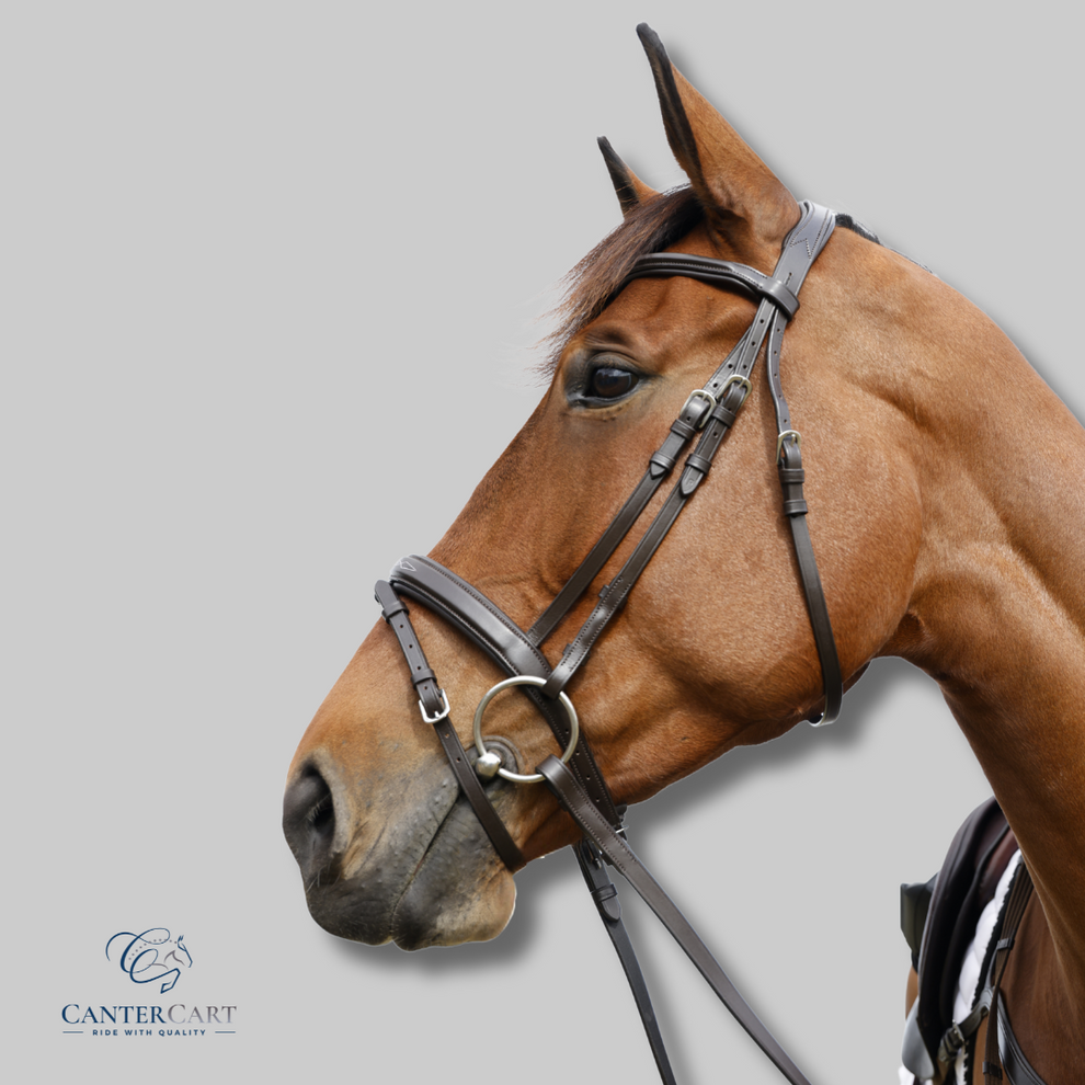 Brown English Bridle with Flash Noseband and Stitching – CanterCart